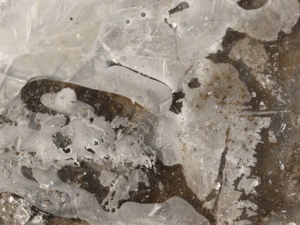 clouded ice texture 0005 - Texturelib